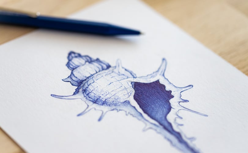 Guide: learn to draw with a ballpoint pen | Caran d'Ache